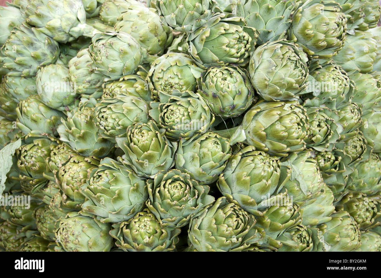 Didium High Resolution Stock Photography and Images - Alamy