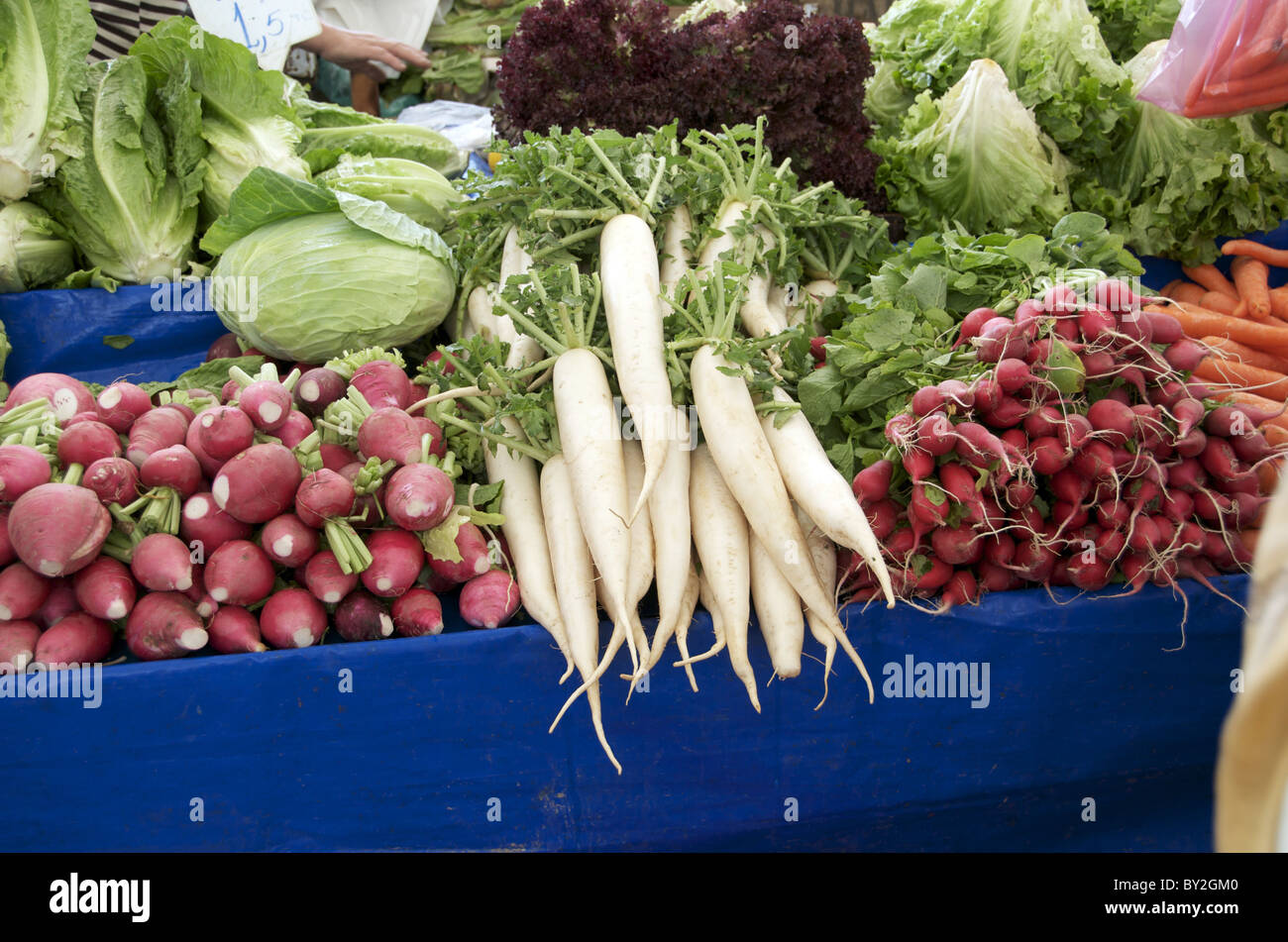CABBAGES RADISHS PARSNIPS DIDIUM BAAZAR MARKET DIDIUM TURKEY DIDIUM ...