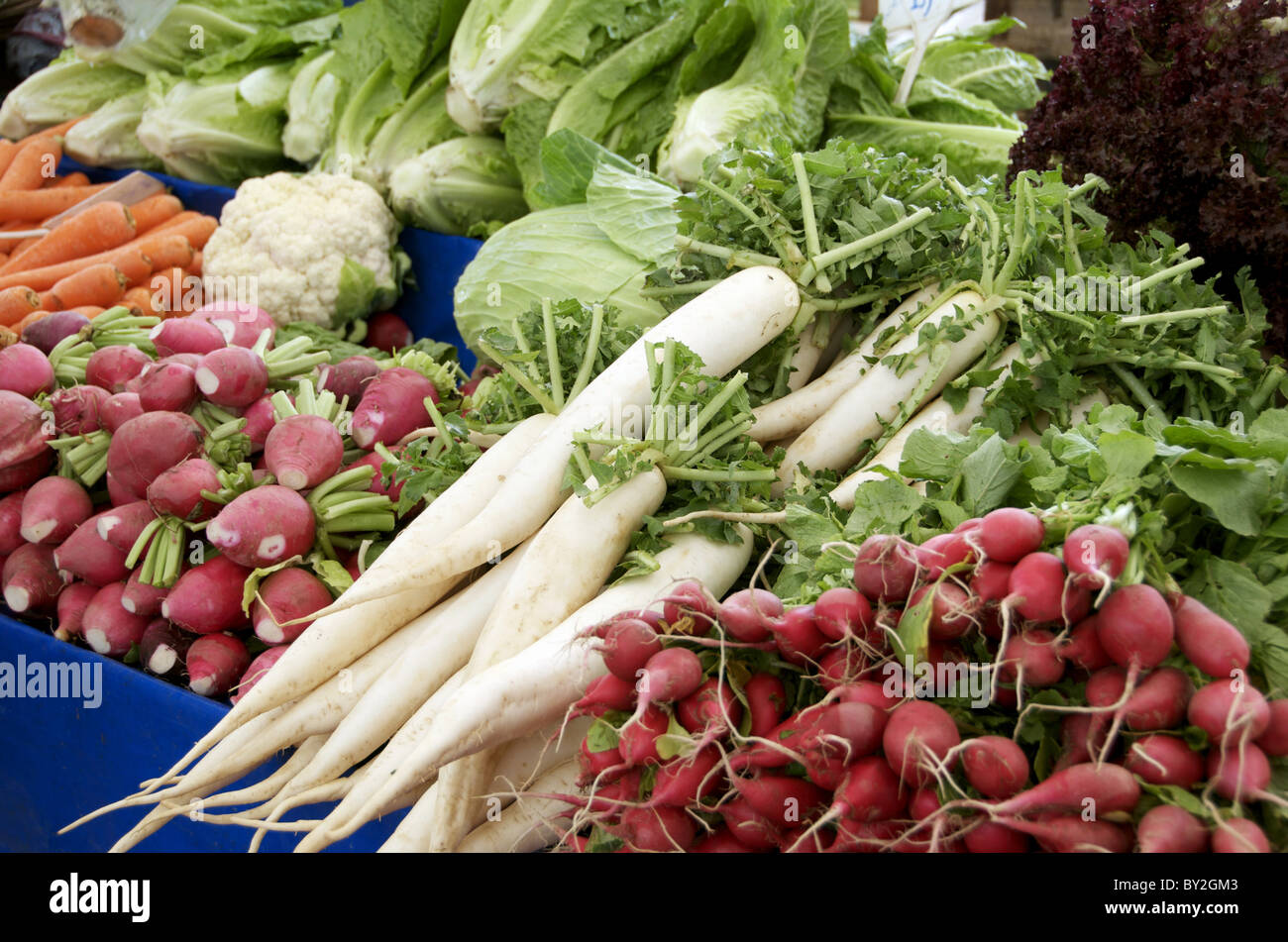 CAULIFLOWER RADISHS PARSNIPS DIDIUM BAAZAR MARKET DIDIUM TURKEY DIDIUM ...