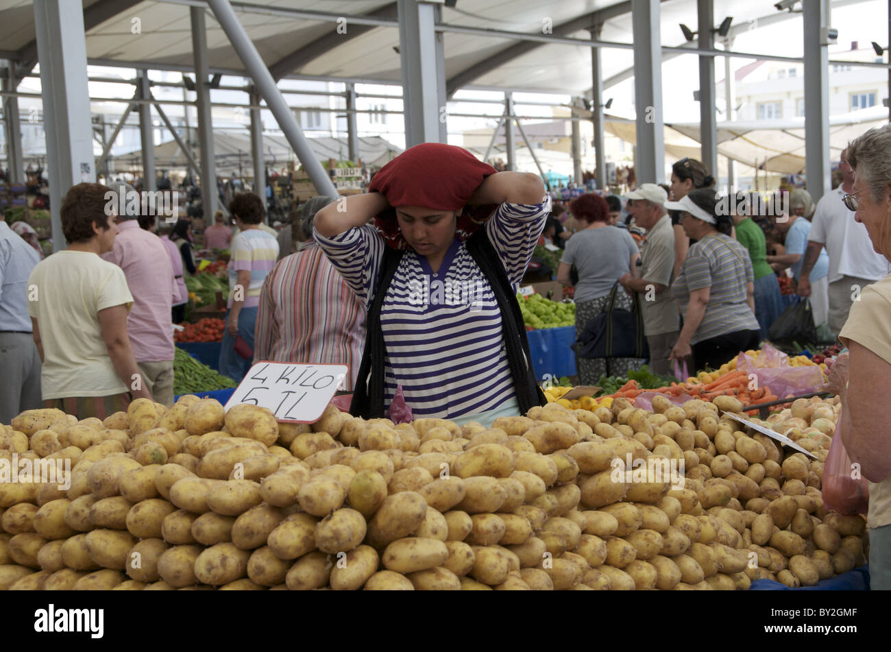 Didium High Resolution Stock Photography and Images - Alamy