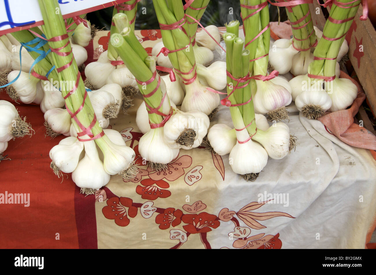 Didium High Resolution Stock Photography and Images - Alamy