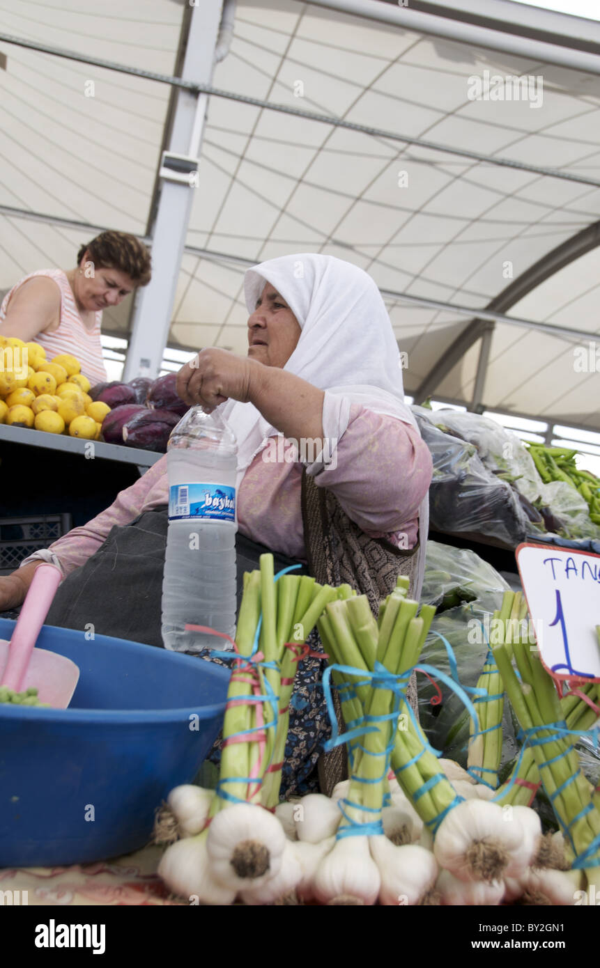 OLD WOMAN FRESH GARLIC DIDIUM BAAZAR MARKET TURKEY DIDIUM TURKEY DIDIUM ...