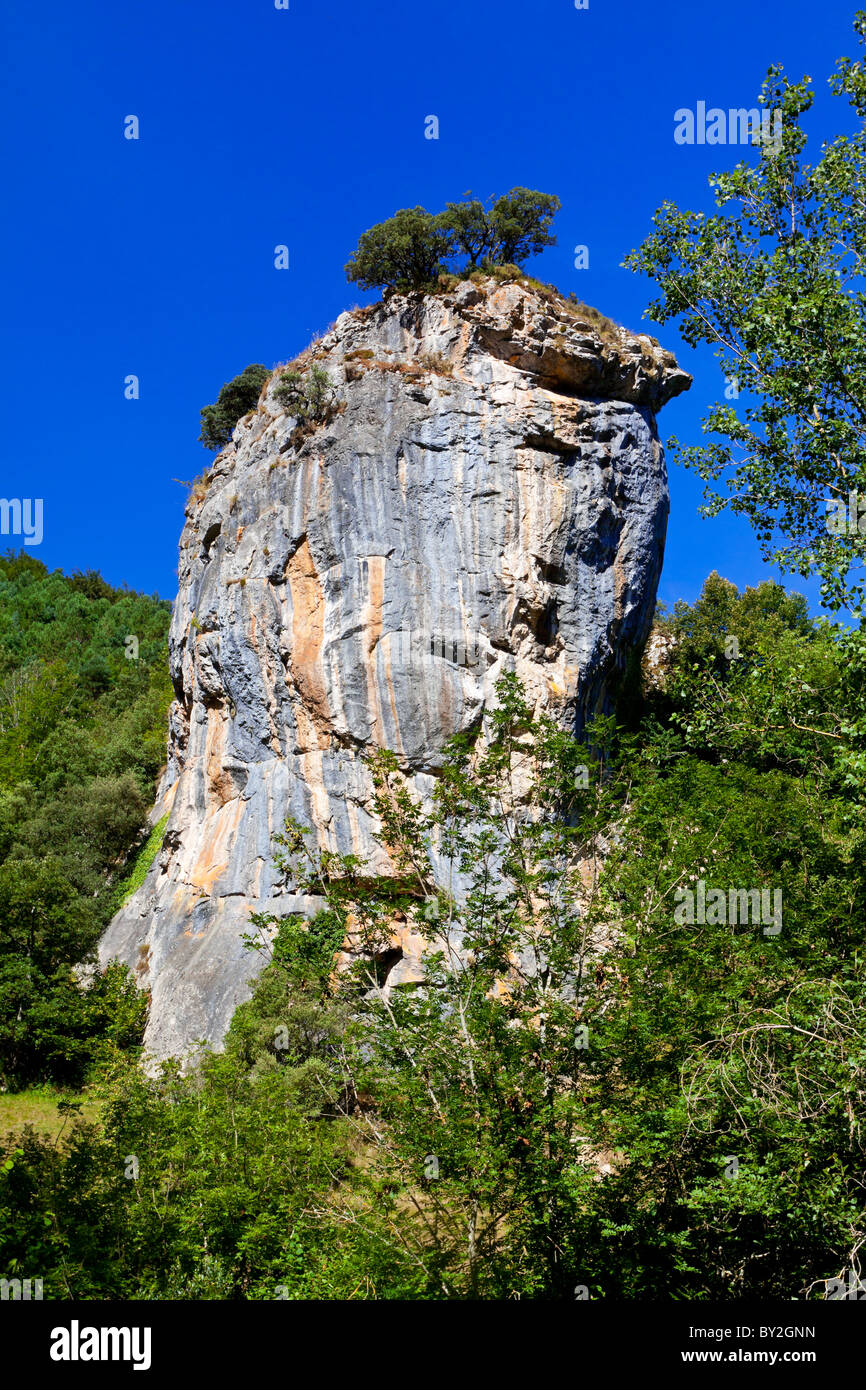 Limestone rock in the Picos de Europa near Cosgaya in the Rio Cubo ...
