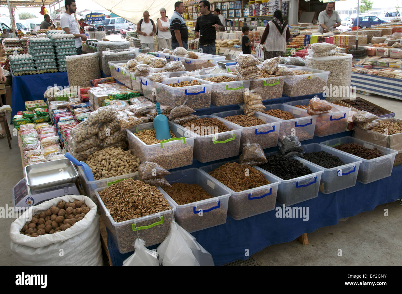 Didium High Resolution Stock Photography and Images - Alamy