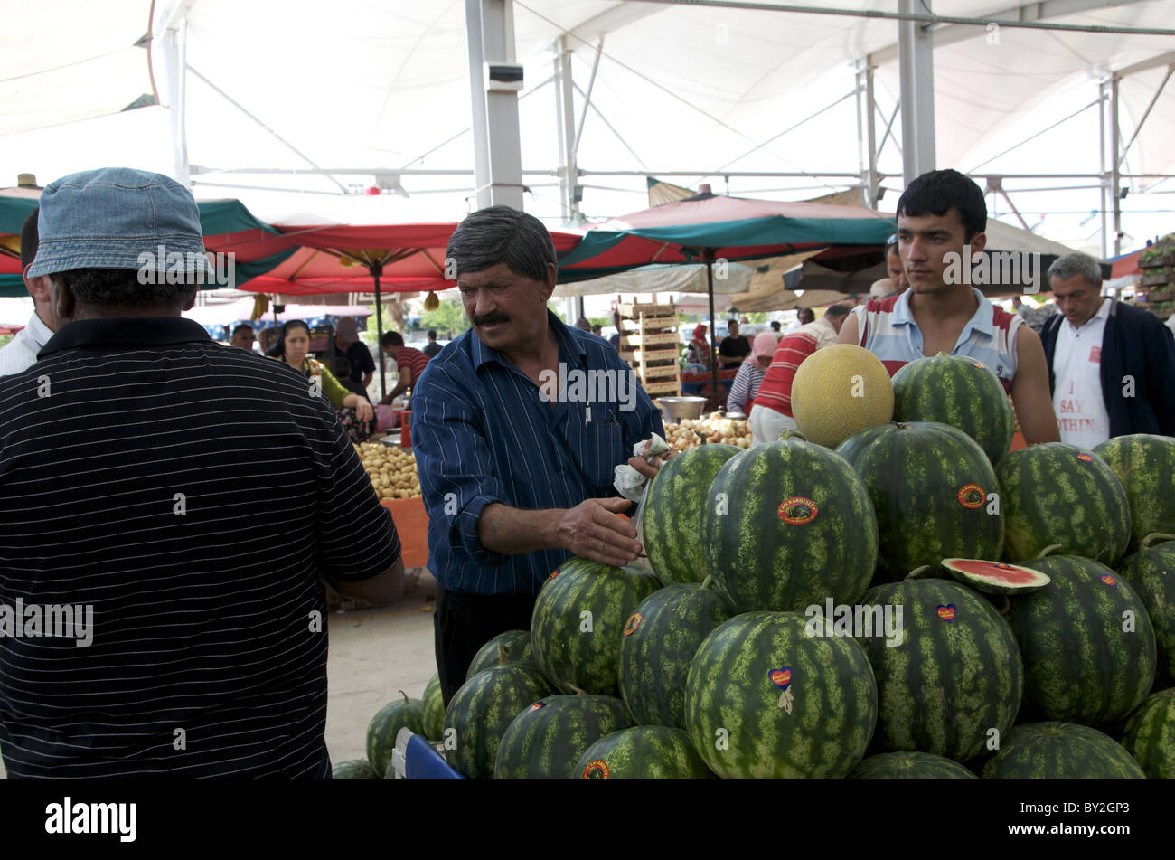 Didium High Resolution Stock Photography and Images - Alamy