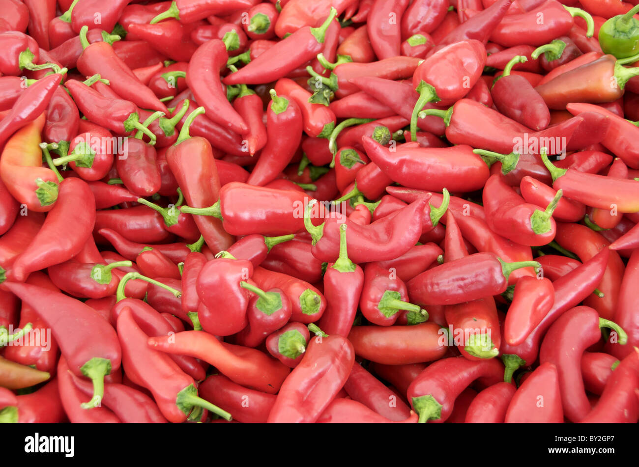 Didium High Resolution Stock Photography and Images - Alamy