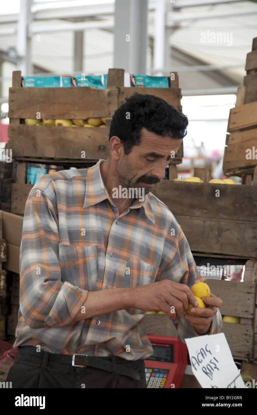 Didium High Resolution Stock Photography and Images - Alamy