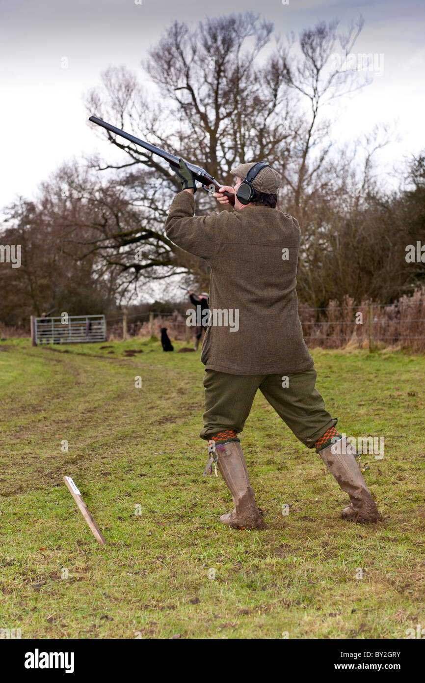 The Pheasant Shoot Stock Photo - Alamy