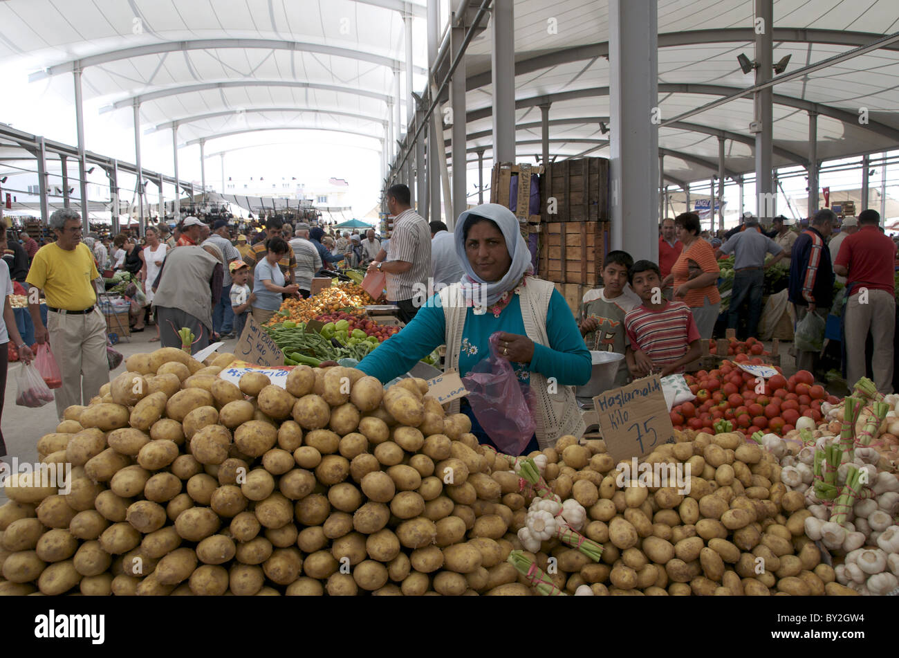 Didium High Resolution Stock Photography and Images - Alamy