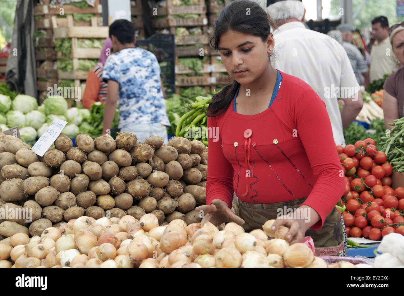 Didium High Resolution Stock Photography and Images - Alamy