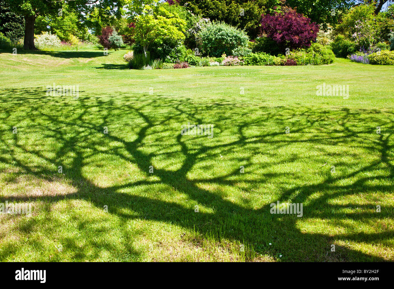 A pattern of shadows on the grass under a tree in an English country ...