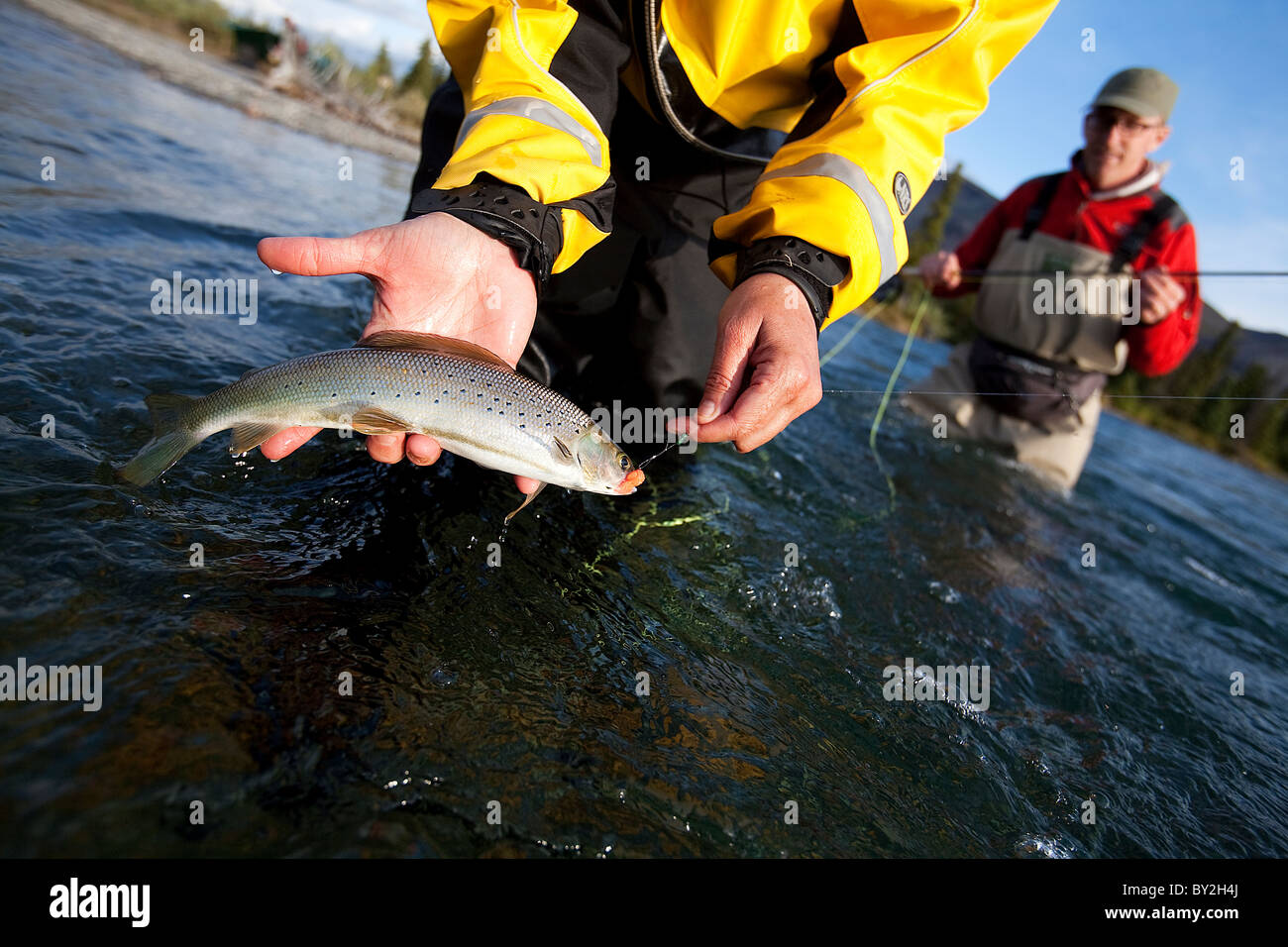 Two people show an Arctic Grayling caught in Alaska Stock Photo - Alamy