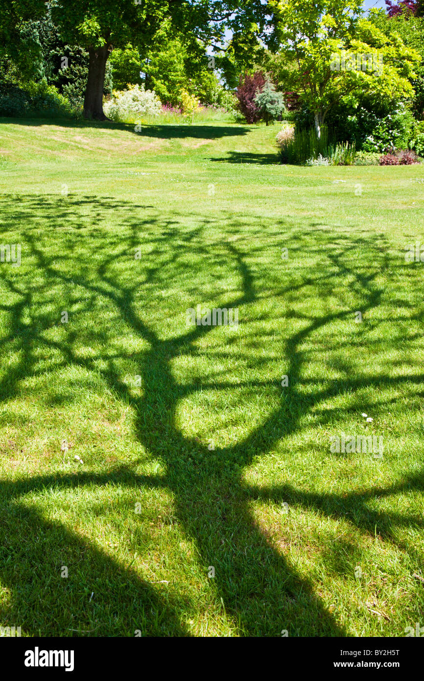 Grass or hair pattern hi-res stock photography and images - Alamy