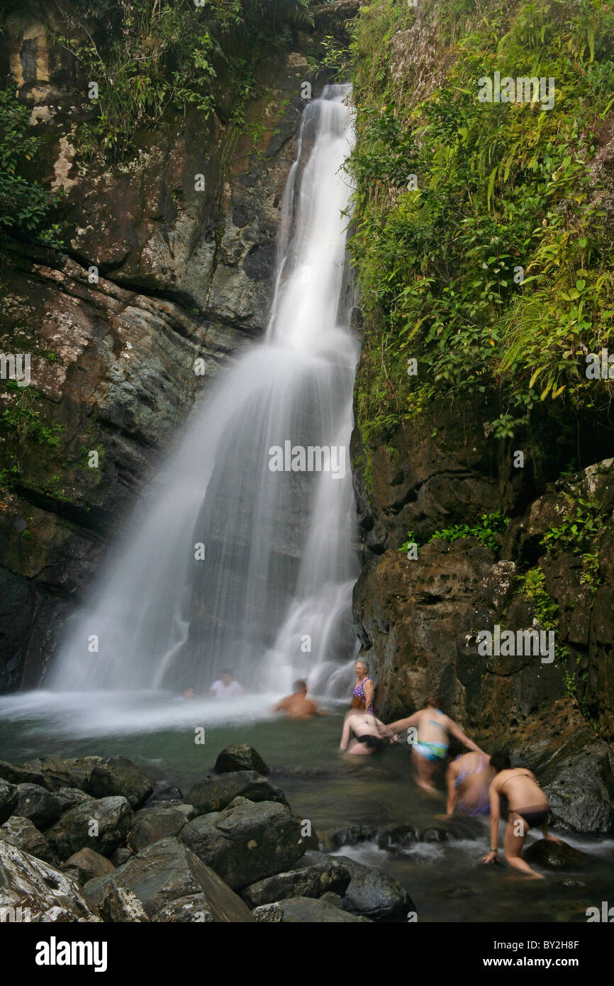 Waterfall puerto rico el yunque hi-res stock photography and images - Alamy
