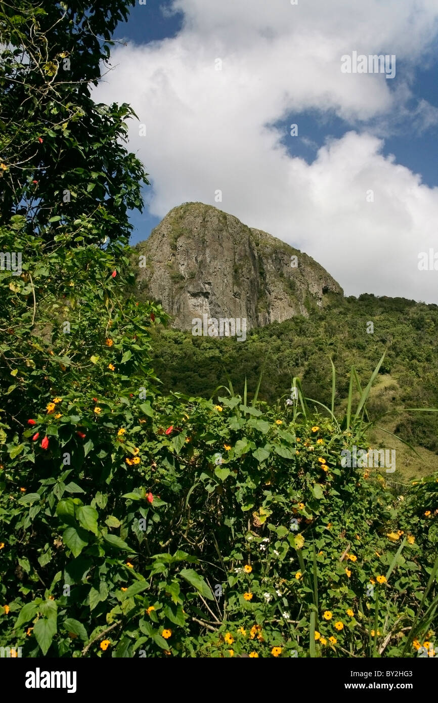 El yunque rainforest waterfall hi-res stock photography and images - Alamy