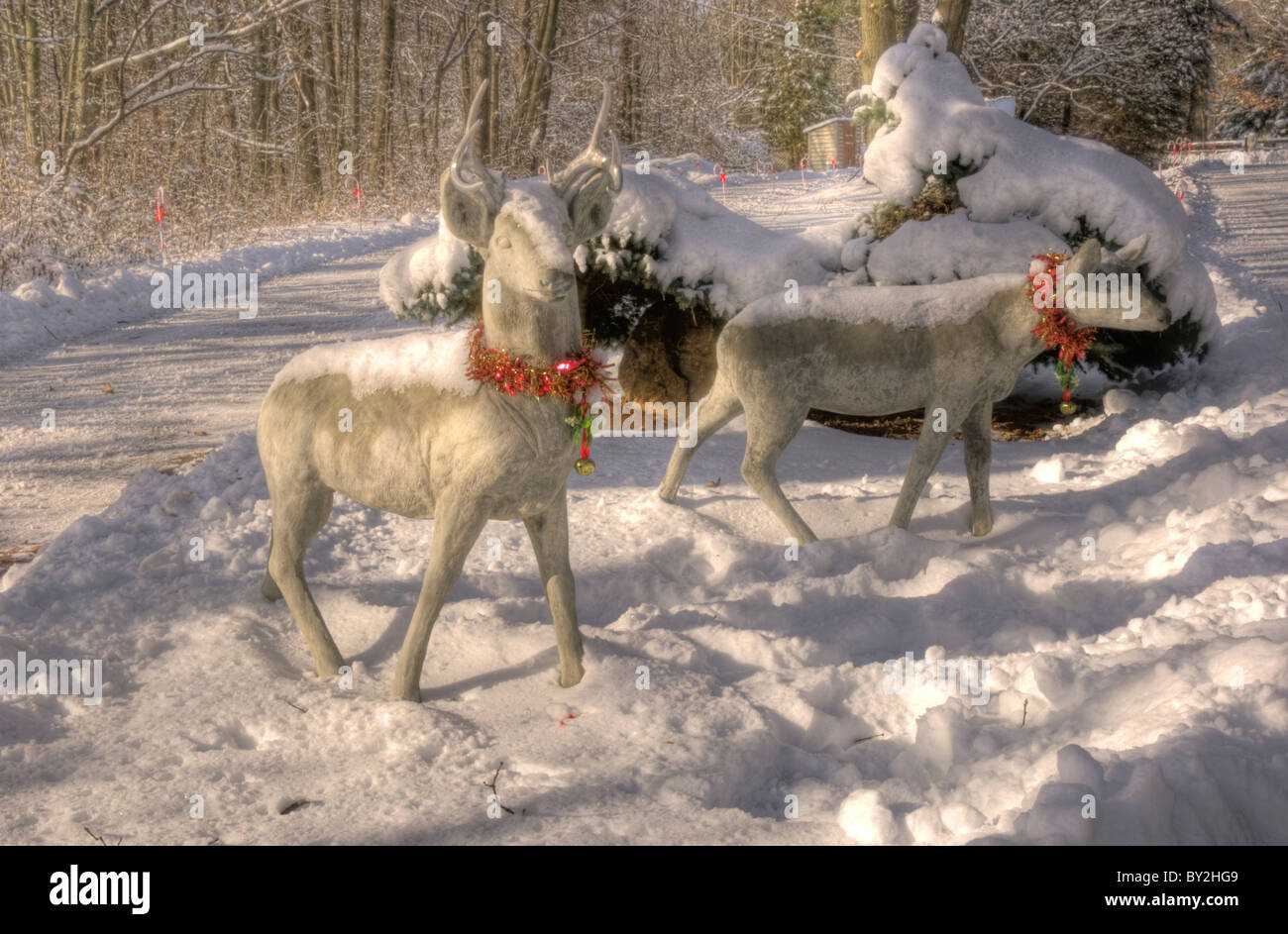 Winter Scene in Michigan USA Stock Photo - Alamy