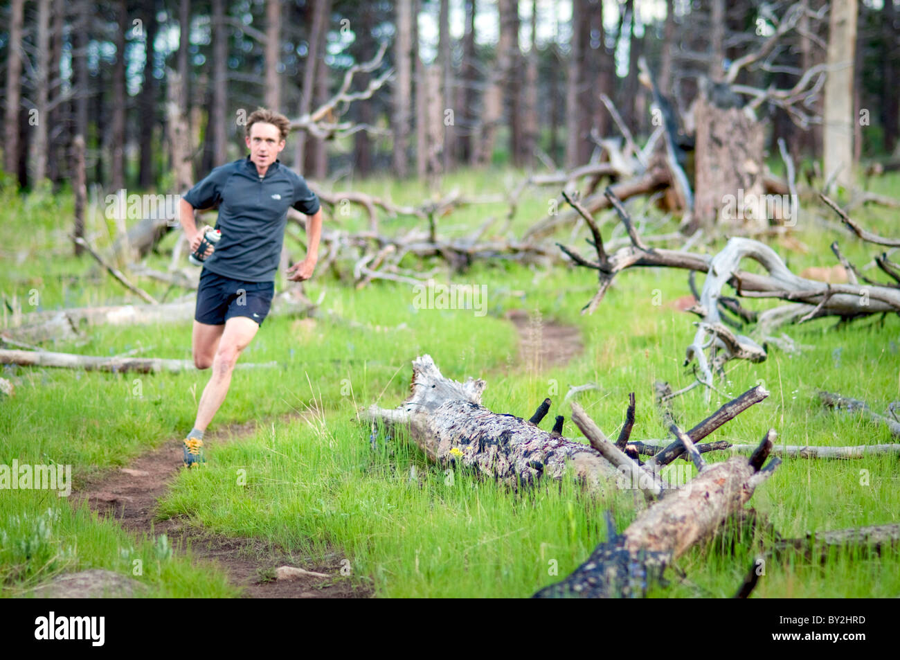 A man trail runs along the Spring Brook Trail on a cloudy Summer day ...