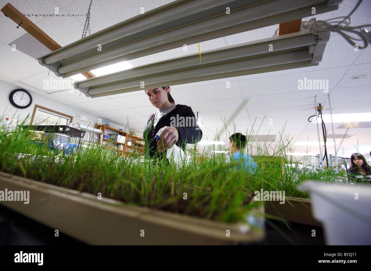American high school science lab hi-res stock photography and images ...