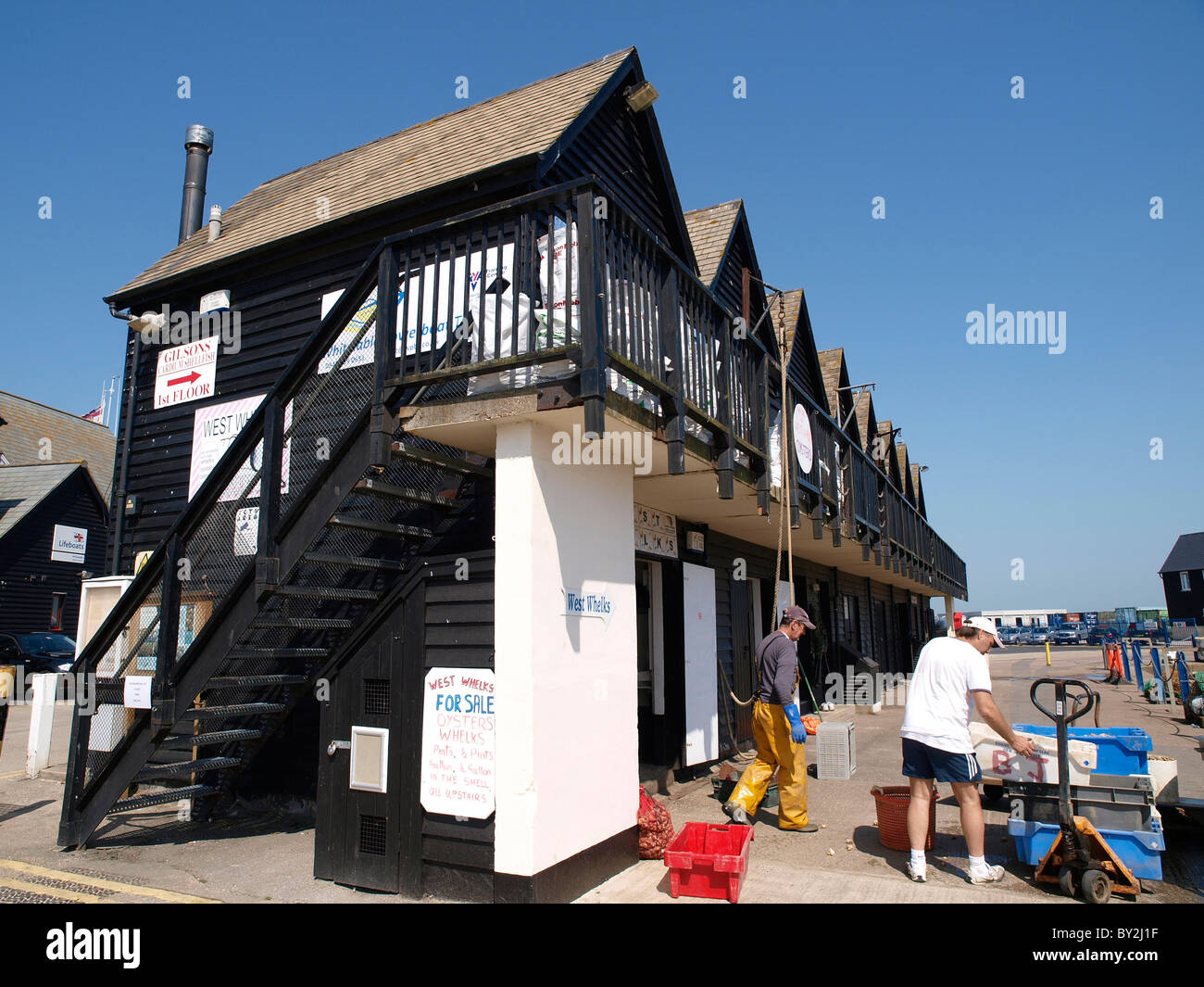 Landing Shellfish for West Whelks at Whitstable Harbour Village Kent ...