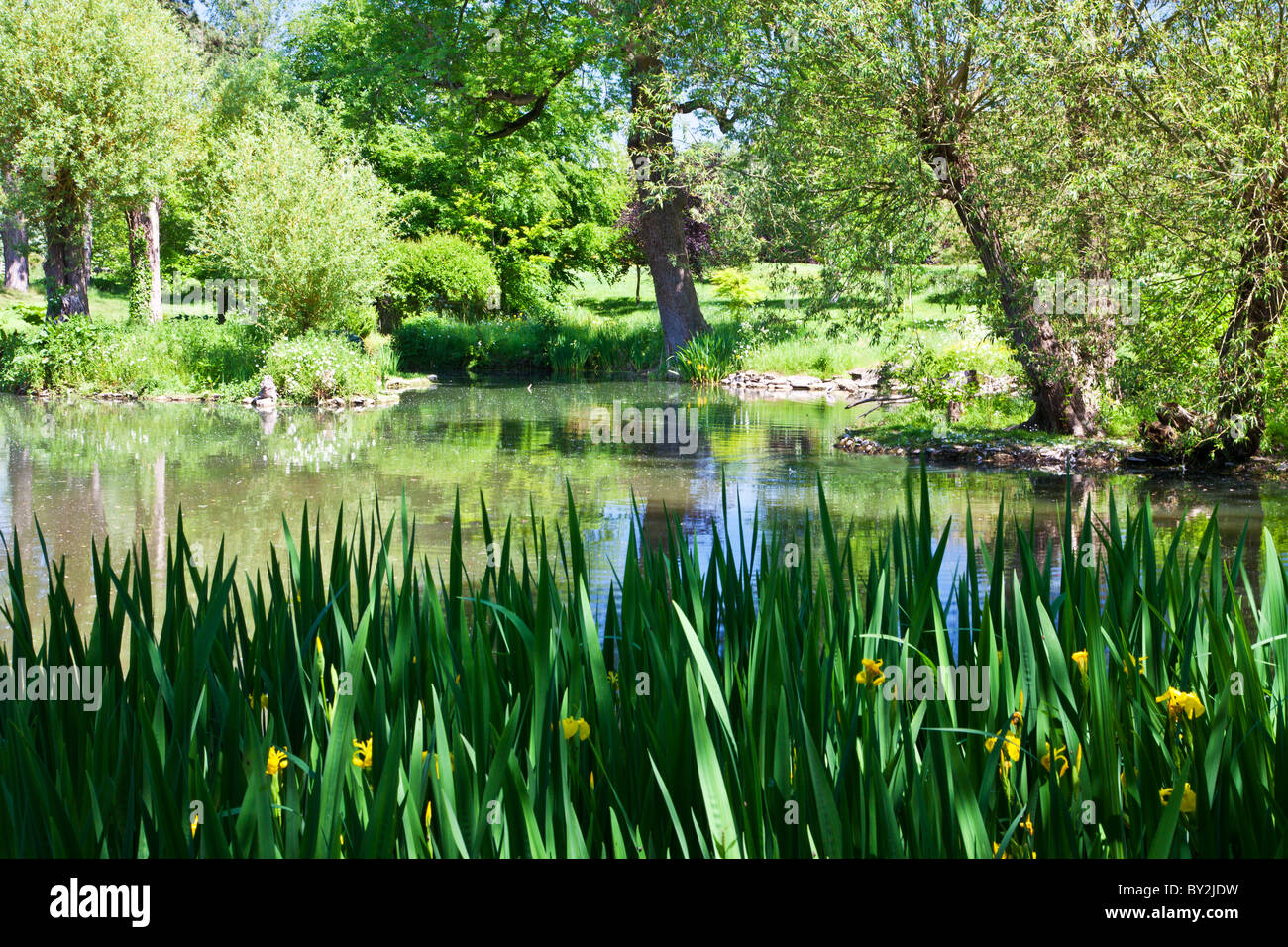 Small garden pond summer hi-res stock photography and images - Alamy