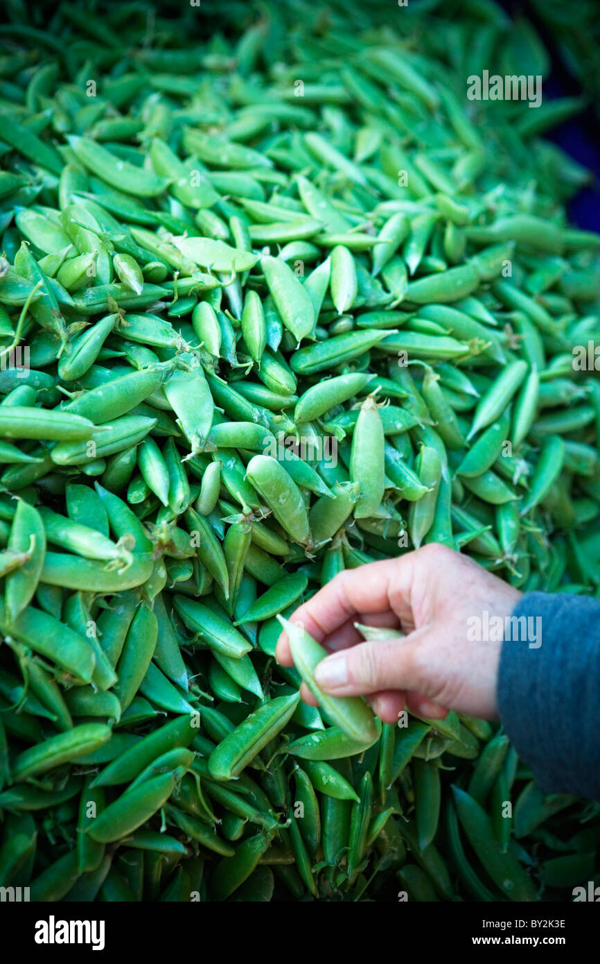 A stack of fresh green beans at a Farmer's Market in San Francisco ...
