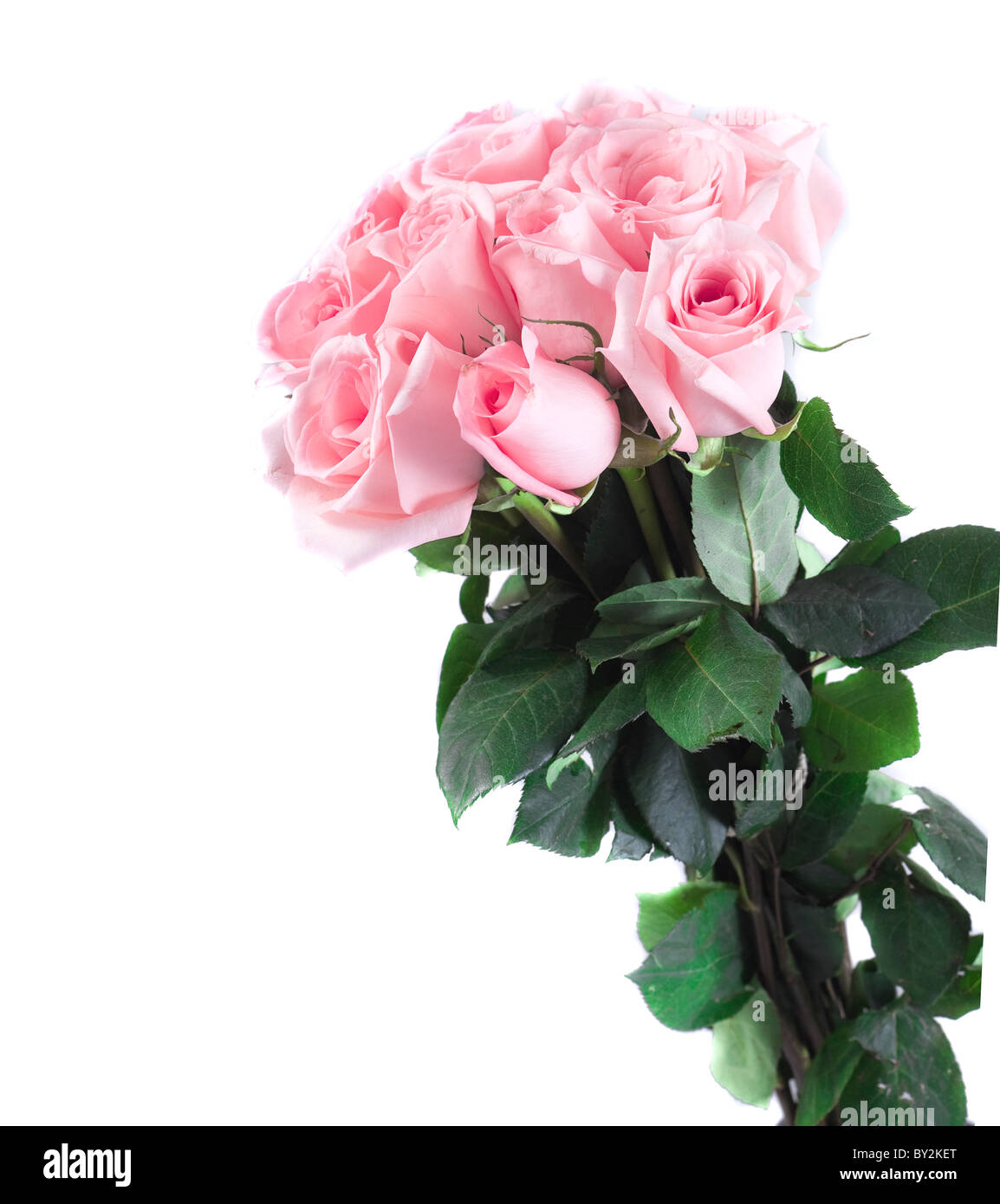Pink roses bunch Stock Photo - Alamy