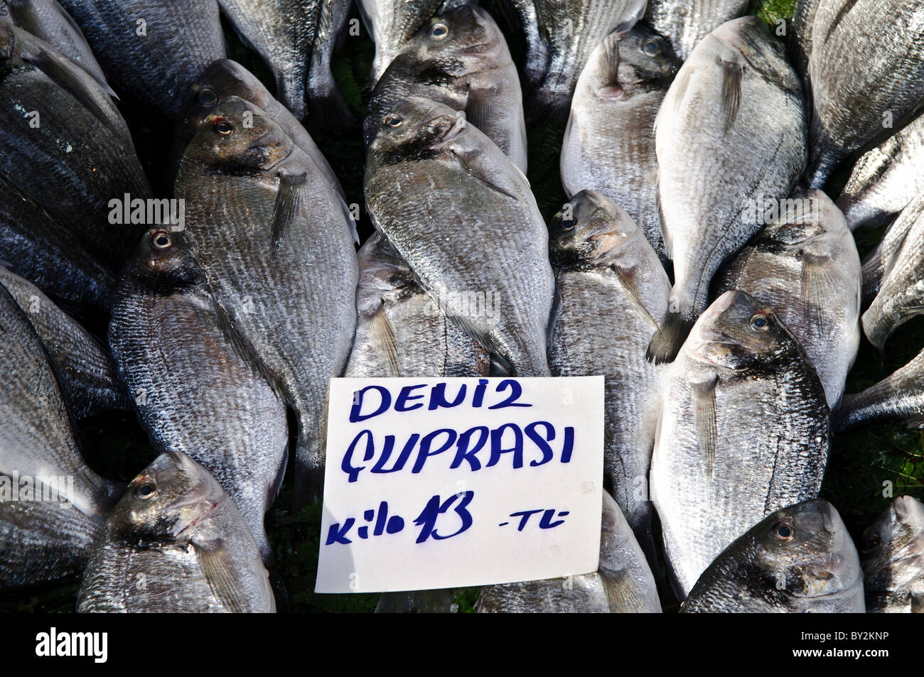 Turkish seafood market hi-res stock photography and images - Alamy