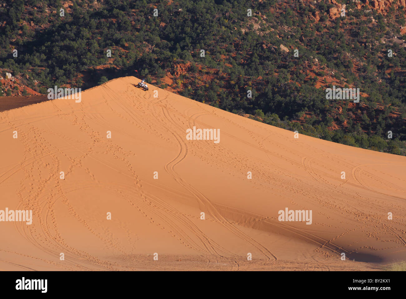 Reserve Coral sand dunes in the U.S..Sports cars for driving on sand ...