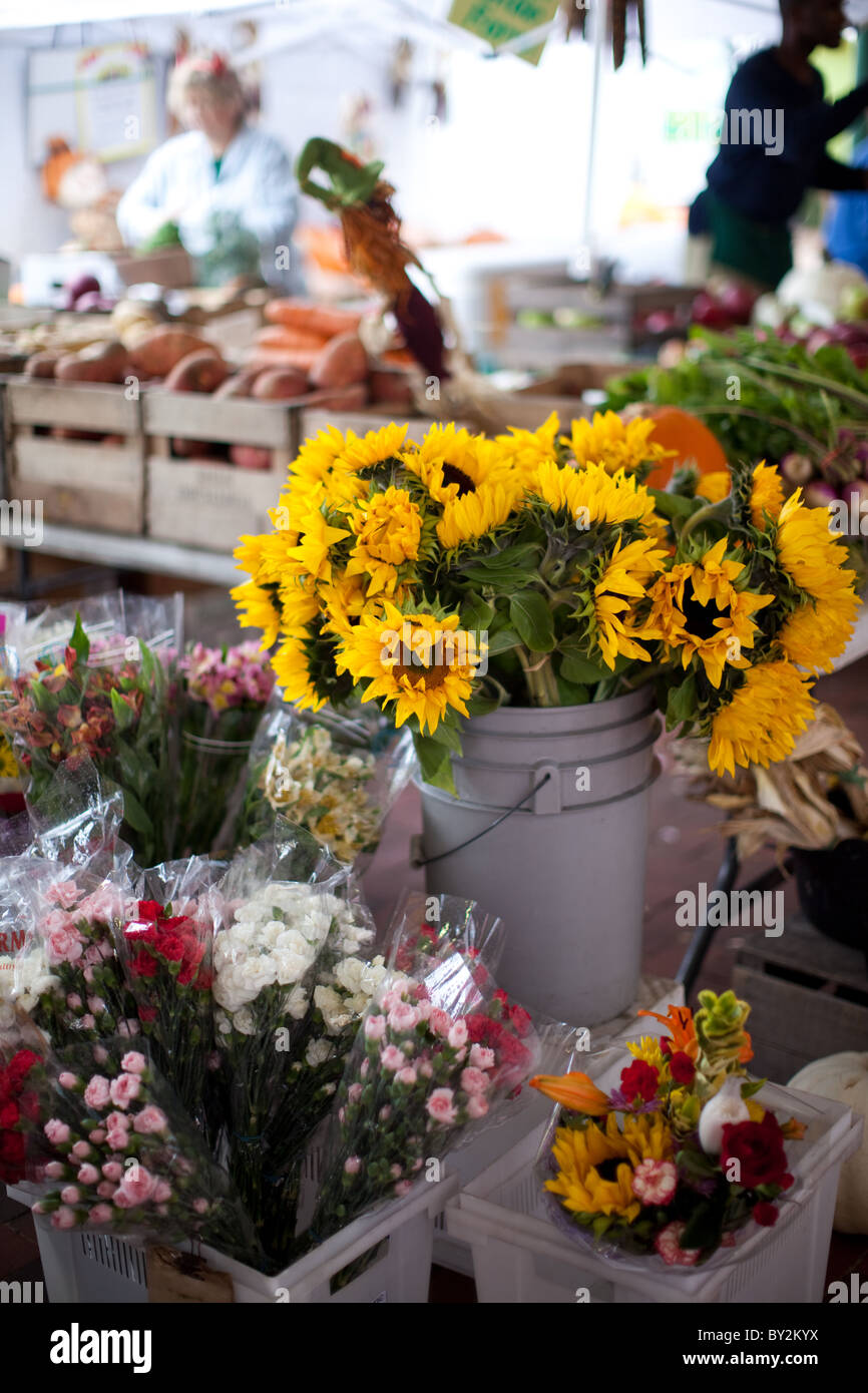 Flowers for sale at the Eastern Market in Washington DC Stock Photo - Alamy