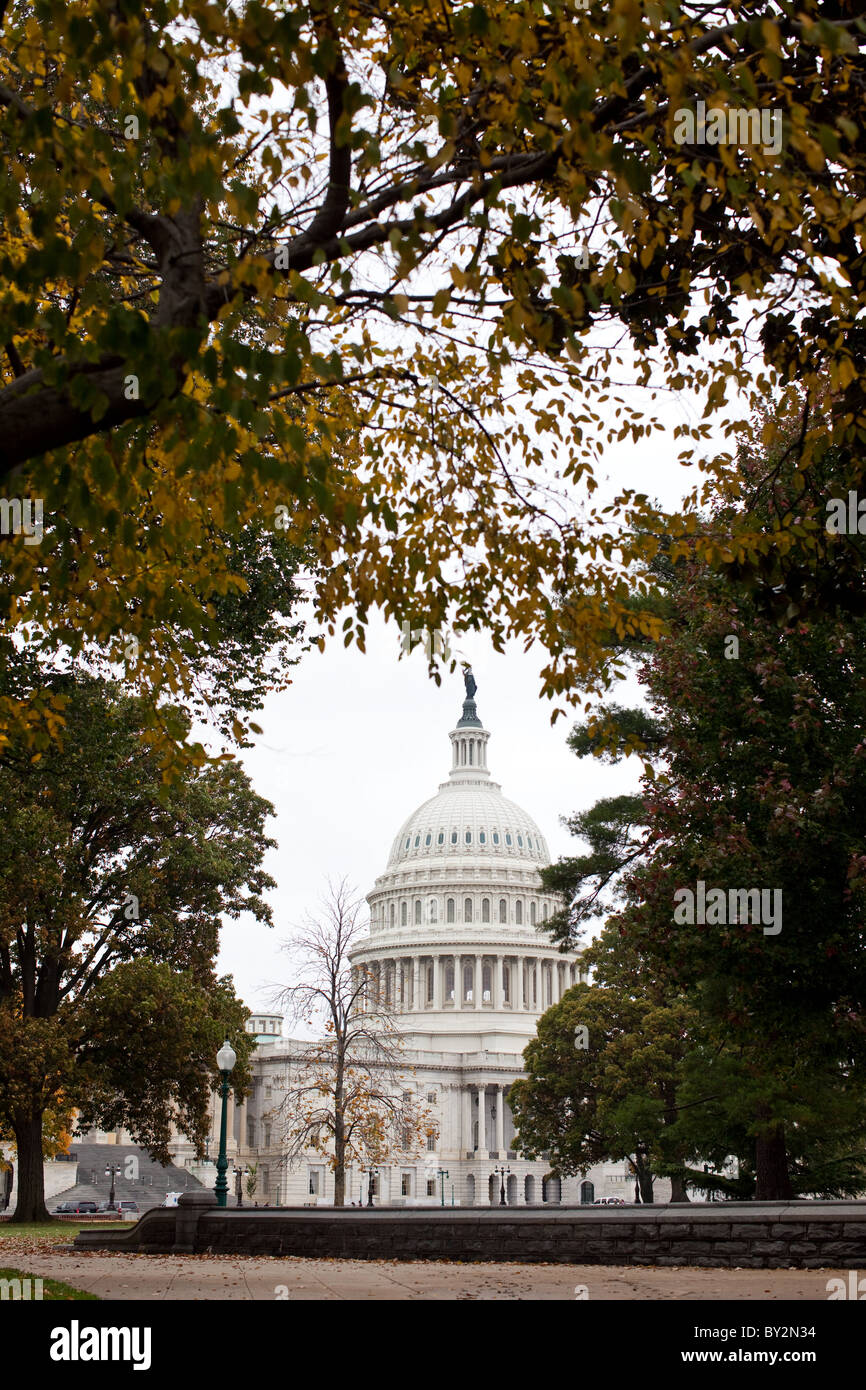 United States Capitol building in the fall in Washington D.C Stock ...