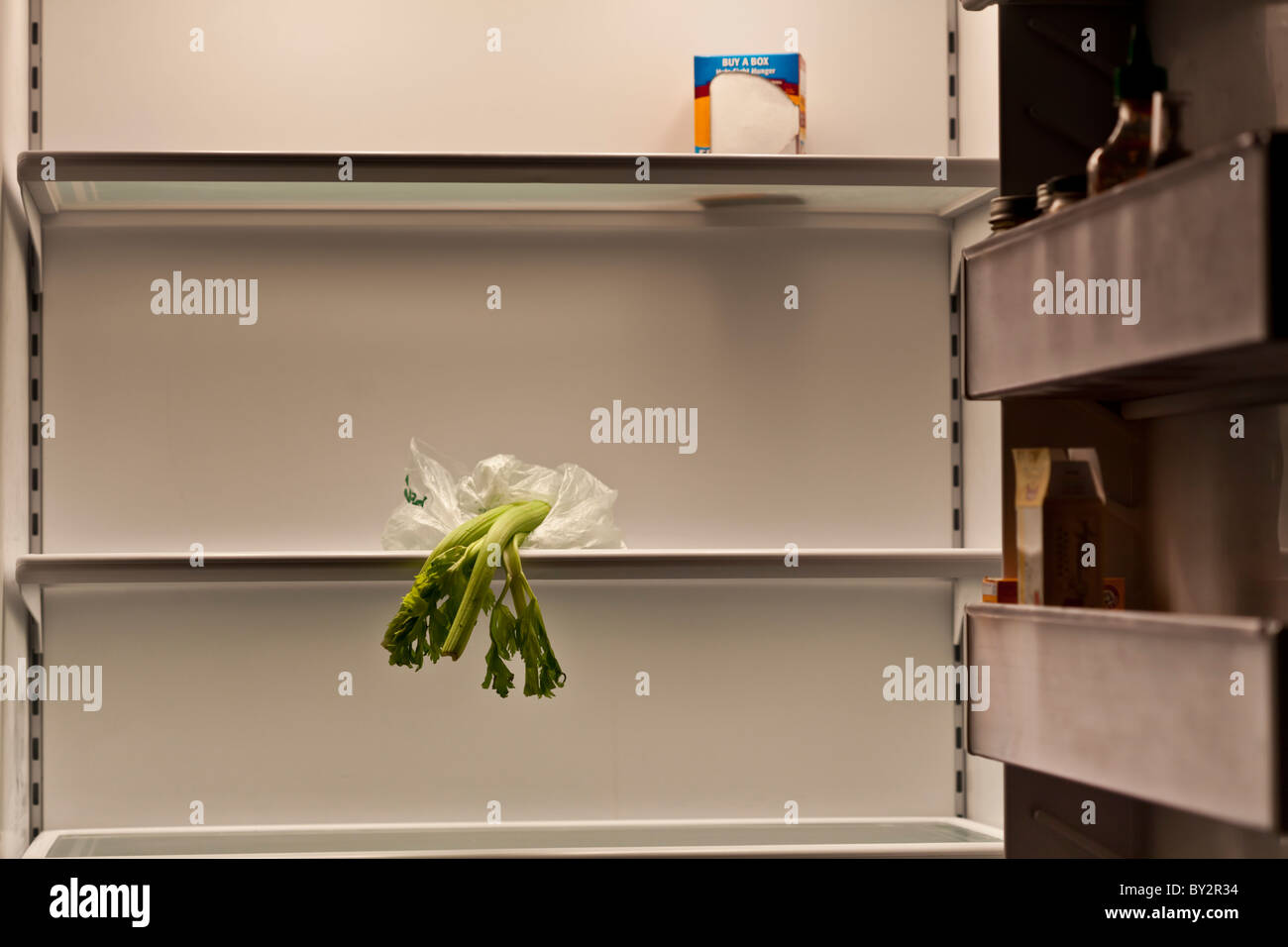 An almost empty refrigerator Stock Photo - Alamy