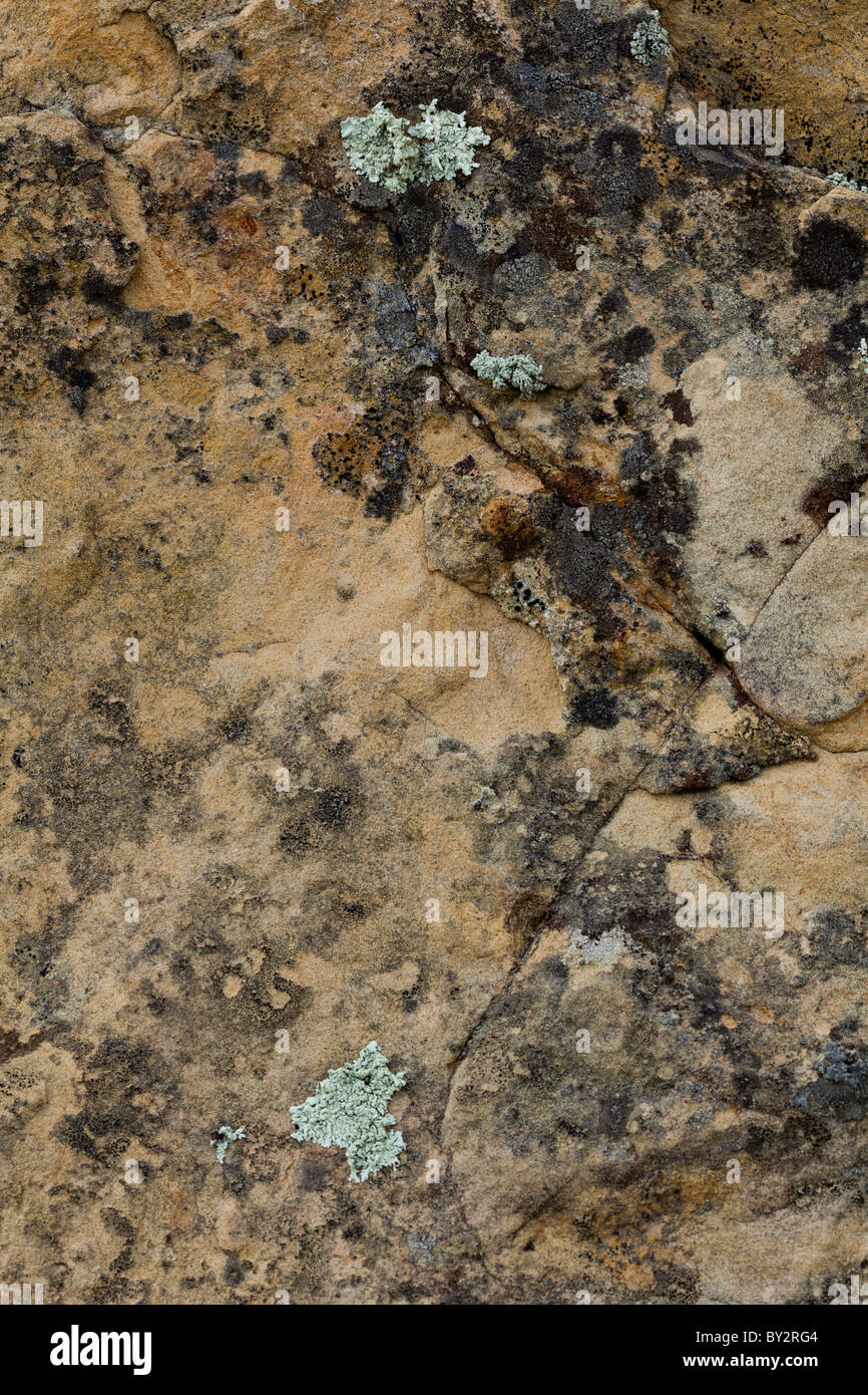 Close up of the texture of the sand stone rock that lines the hills in ...