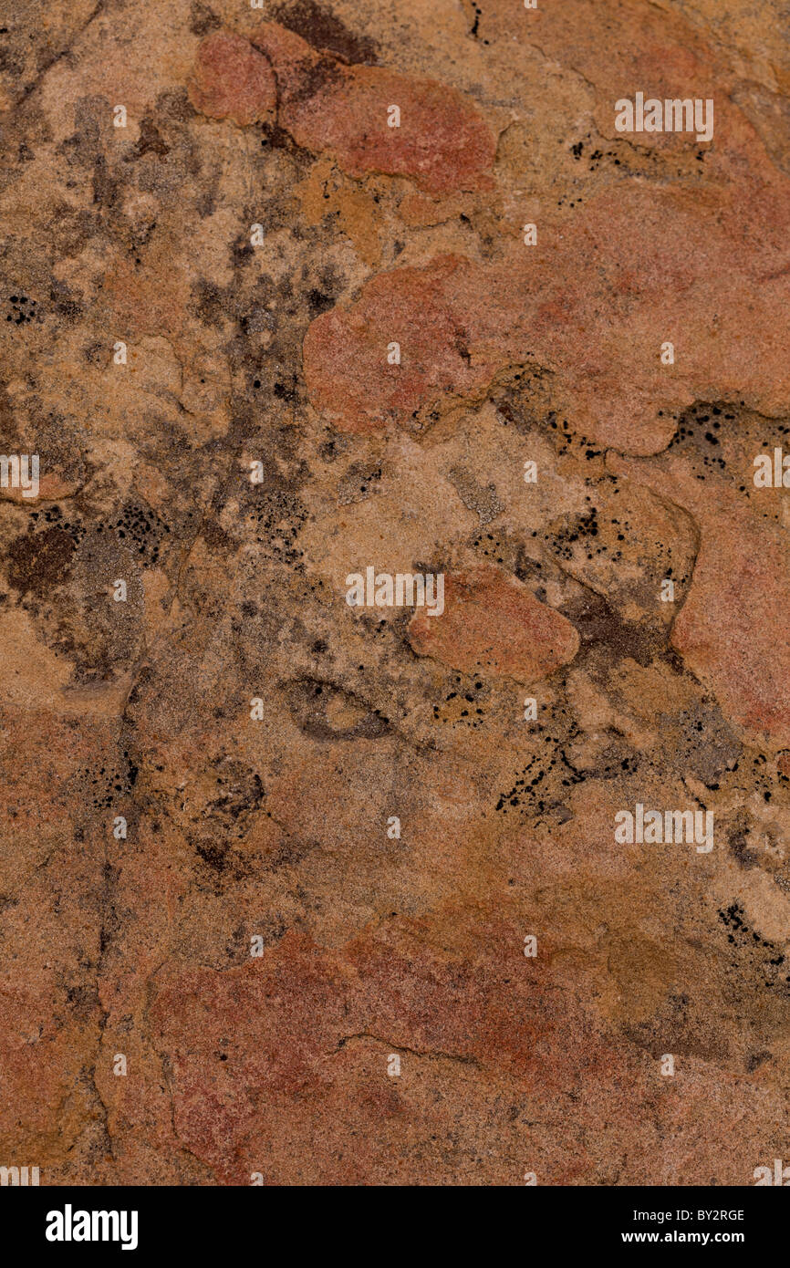 Close up of the texture of the sandstone rock with lichen that lines ...