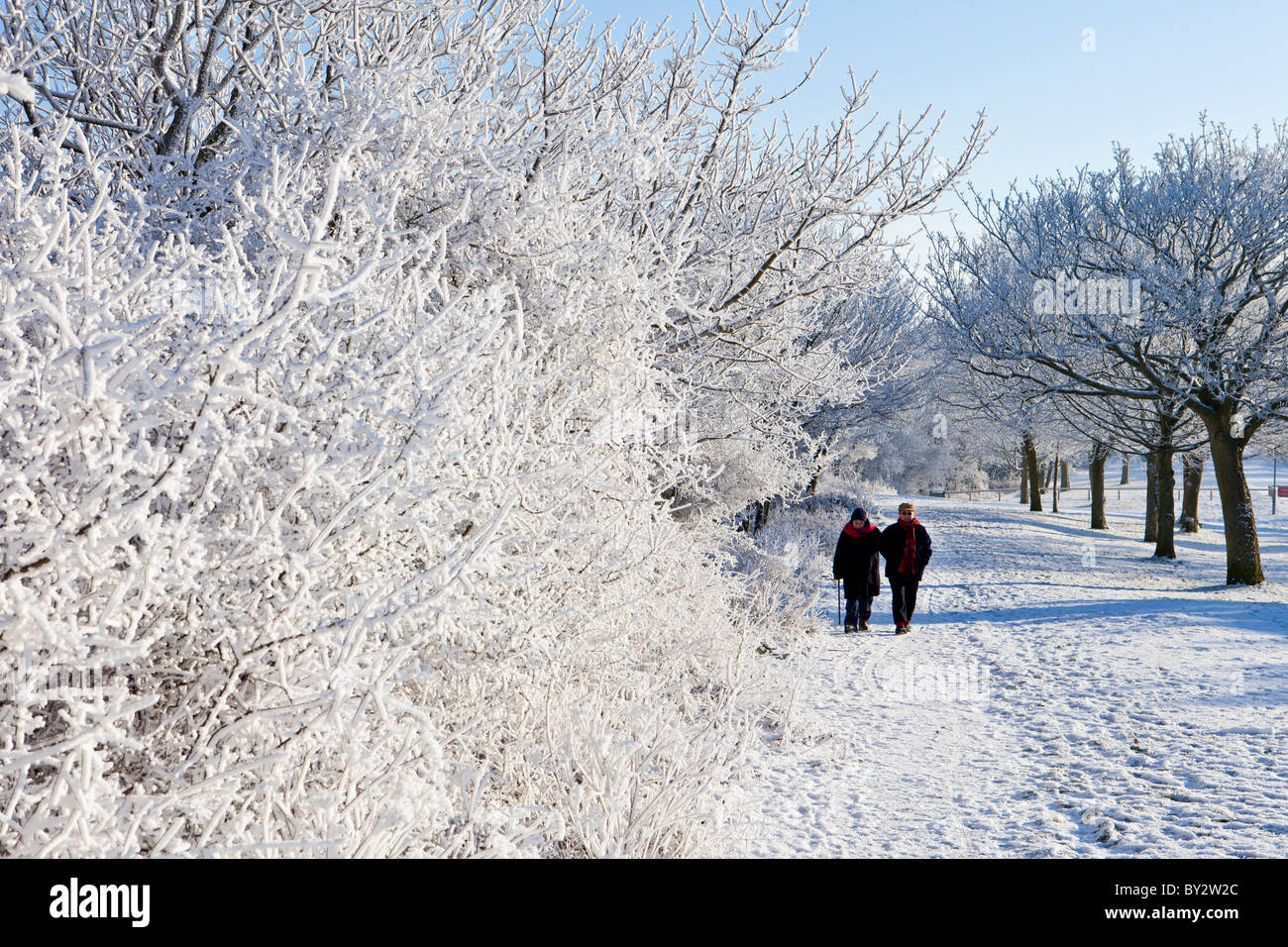 Two people walking in the snow Stock Photo - Alamy