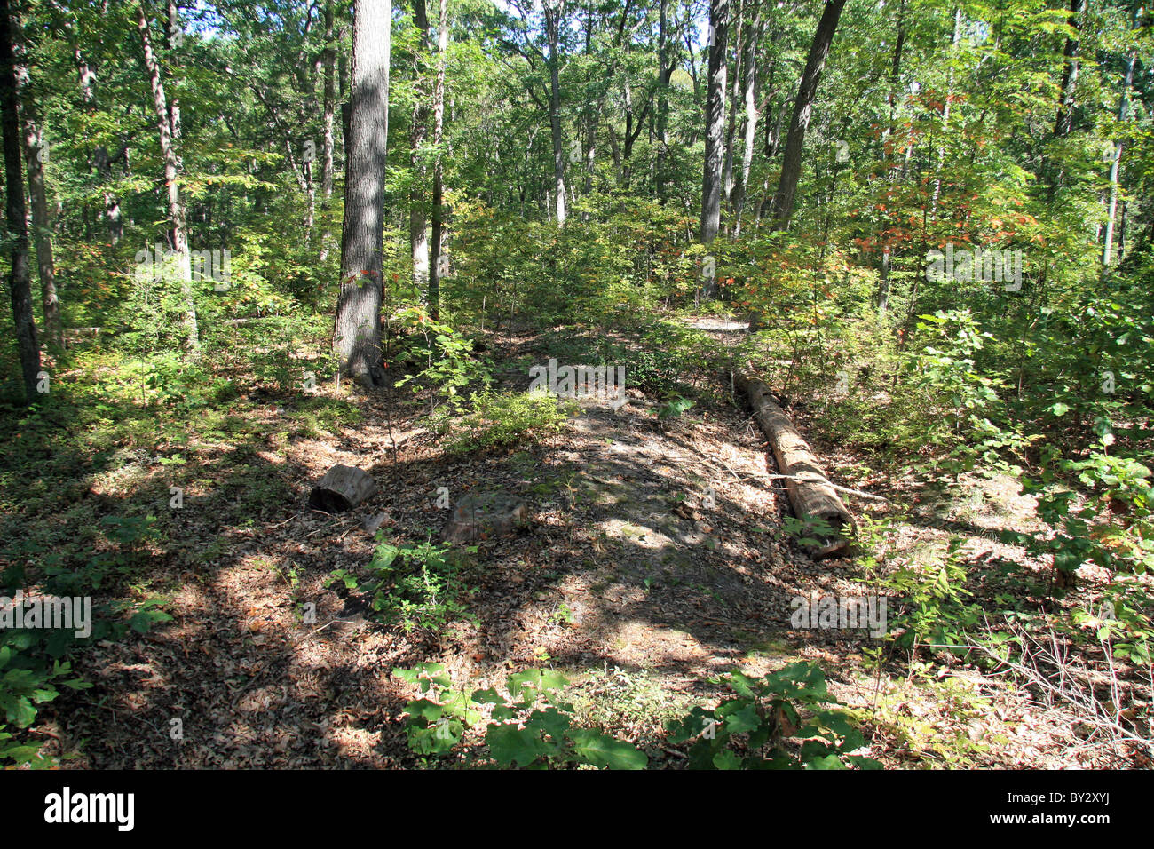Some of the remaining earthwork fortifications on the Cold Harbor ...