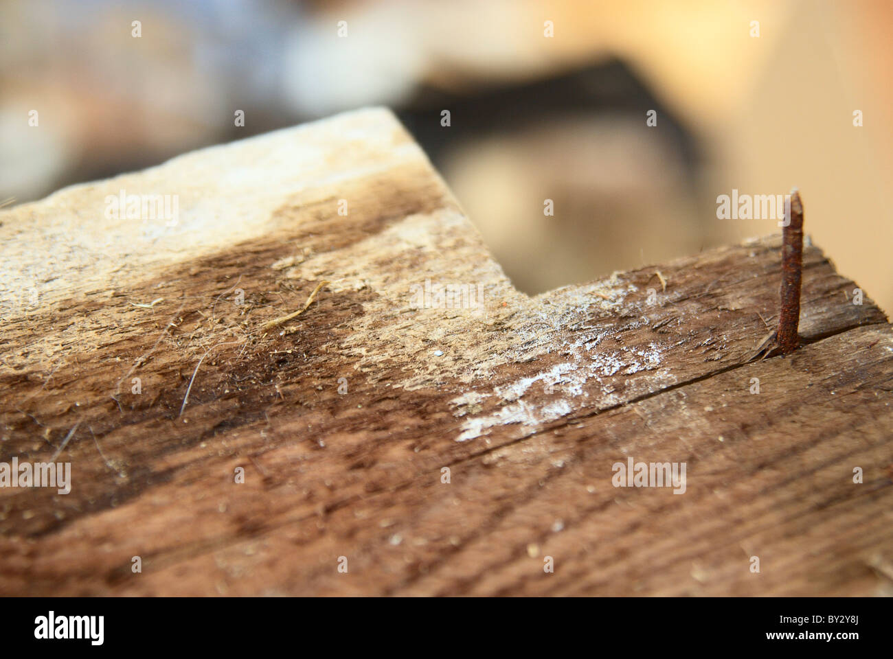 Detail of plank used in construction Stock Photo - Alamy