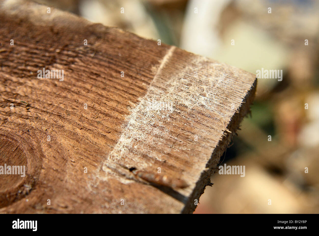 Detail of plank used in construction Stock Photo - Alamy