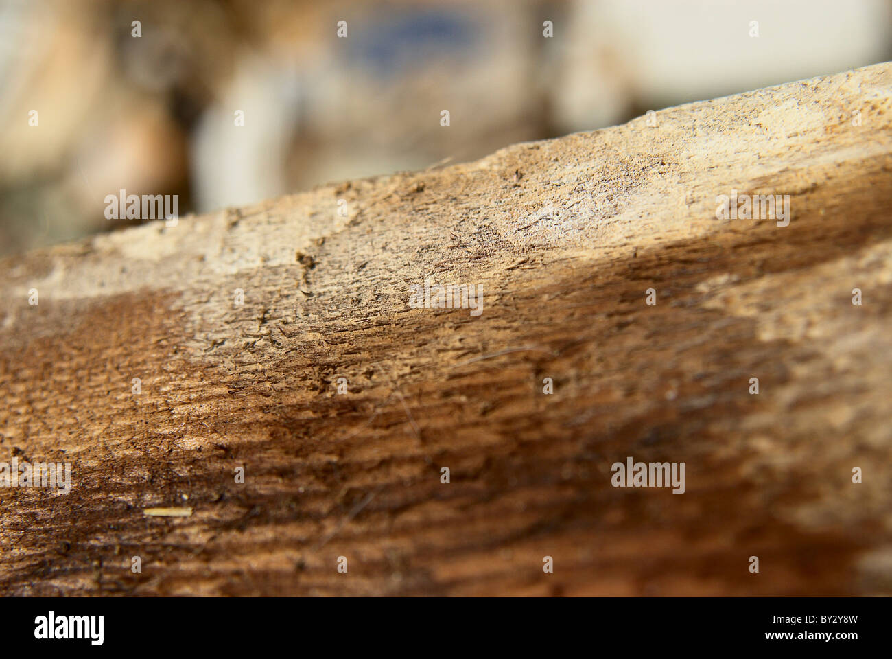 Detail of plank used in construction Stock Photo - Alamy