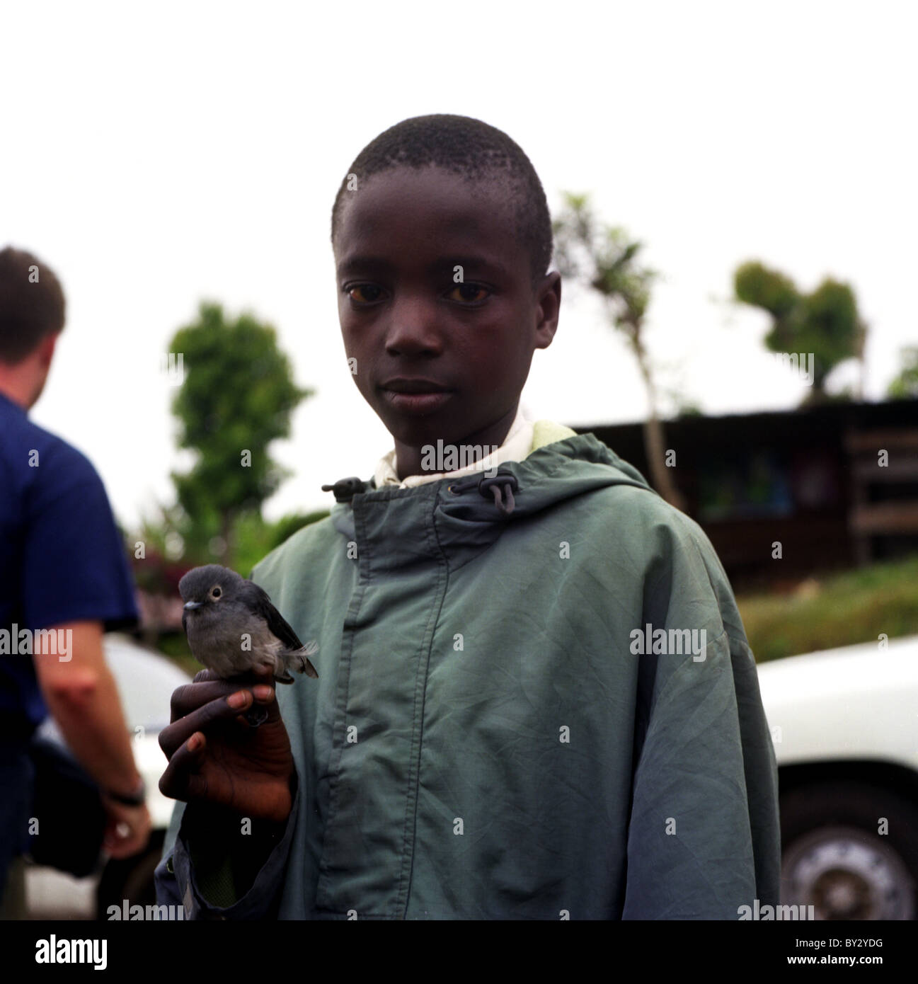 A african boy holding a bird in his hand. Tanzania. Africa Stock Photo ...
