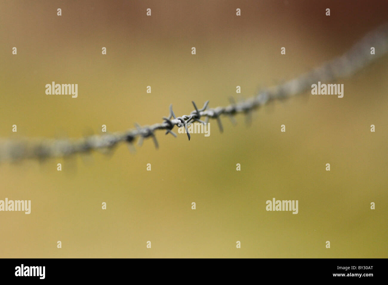 Bard wire hi-res stock photography and images - Alamy