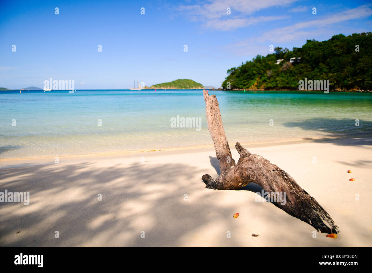 Maho Bay Beach Driftwood St John US Virgin Islands // MAHO BAY, St ...