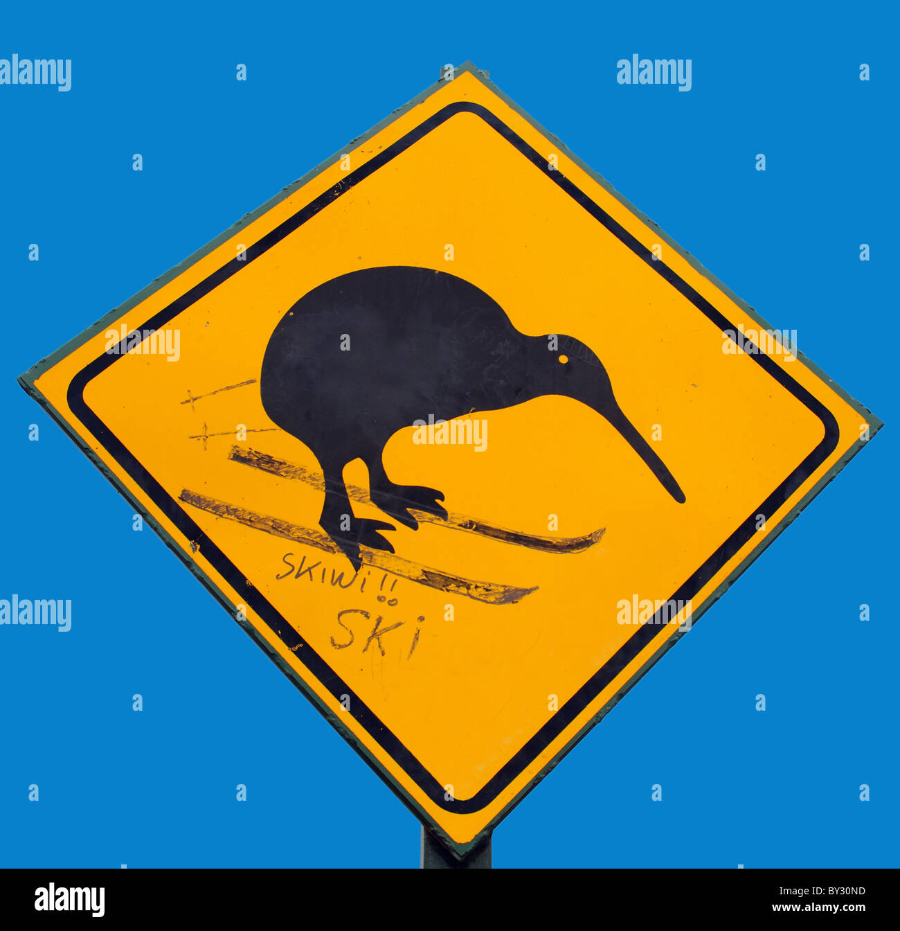 Skiwi hi-res stock photography and images - Alamy