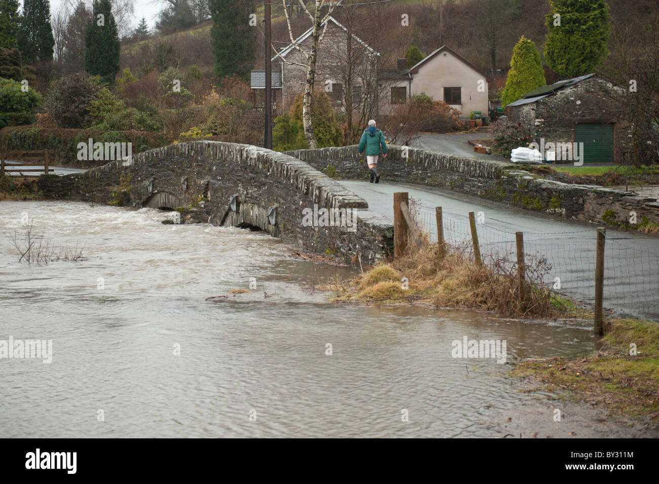 Flooding on the River Dyfi at Machynlleth, Powys, Mid wales UK Jan 15 ...
