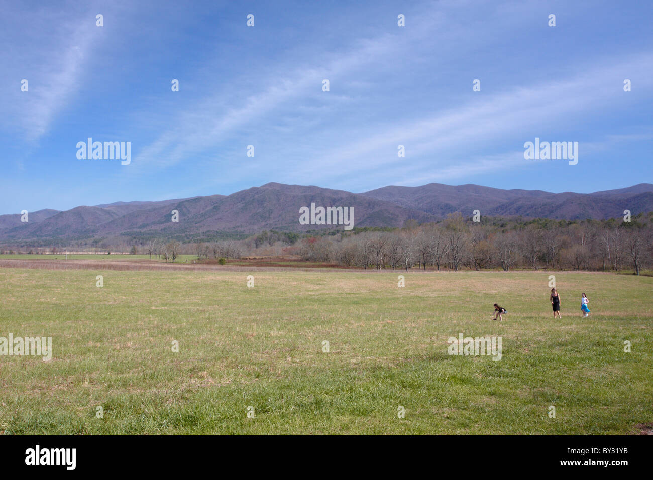 Spring in smoky mountains hi-res stock photography and images - Alamy