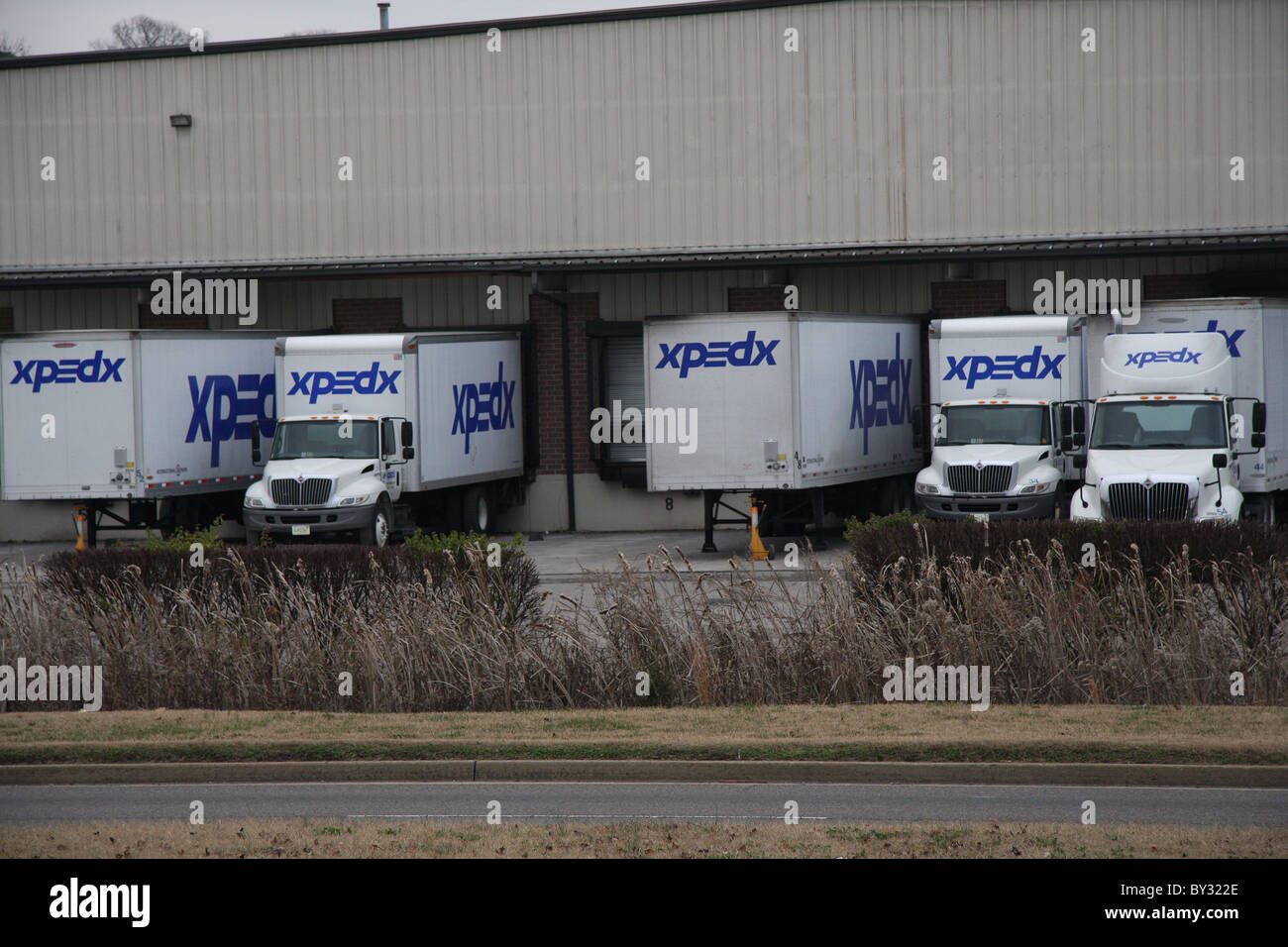 Trucks parked at xpedx shipping docks Stock Photo - Alamy