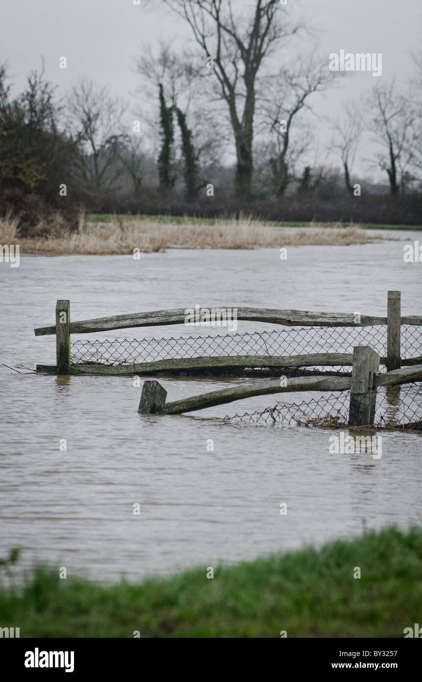 Water logged field s on flood plain Stock Photo - Alamy