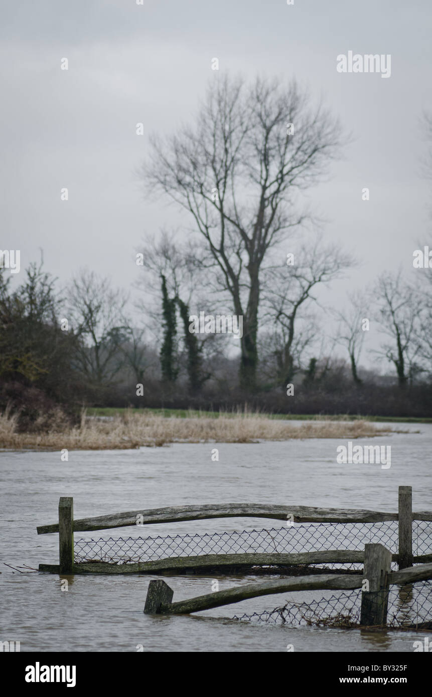 Water logged field Stock Photo - Alamy