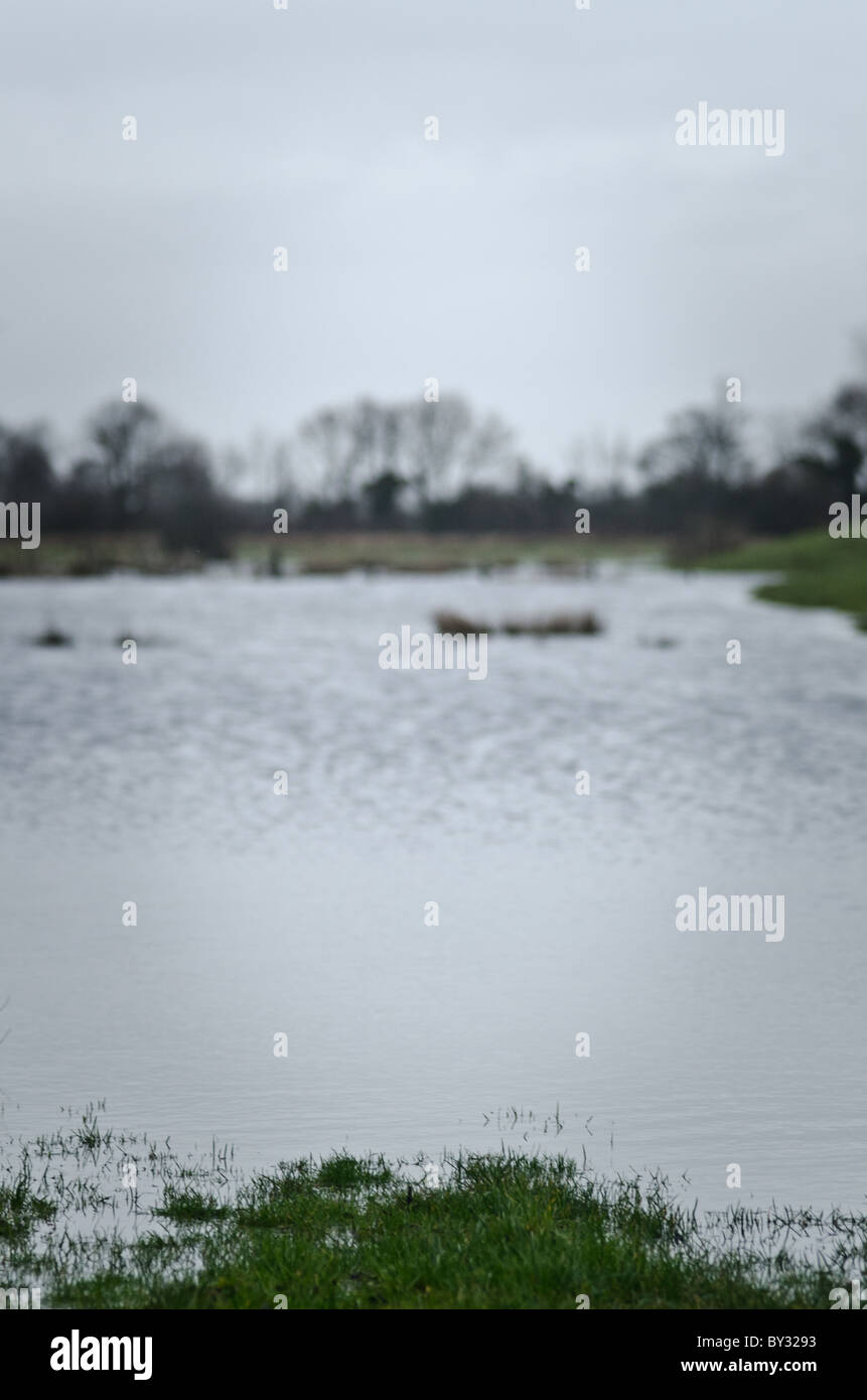 Water logged hi-res stock photography and images - Alamy