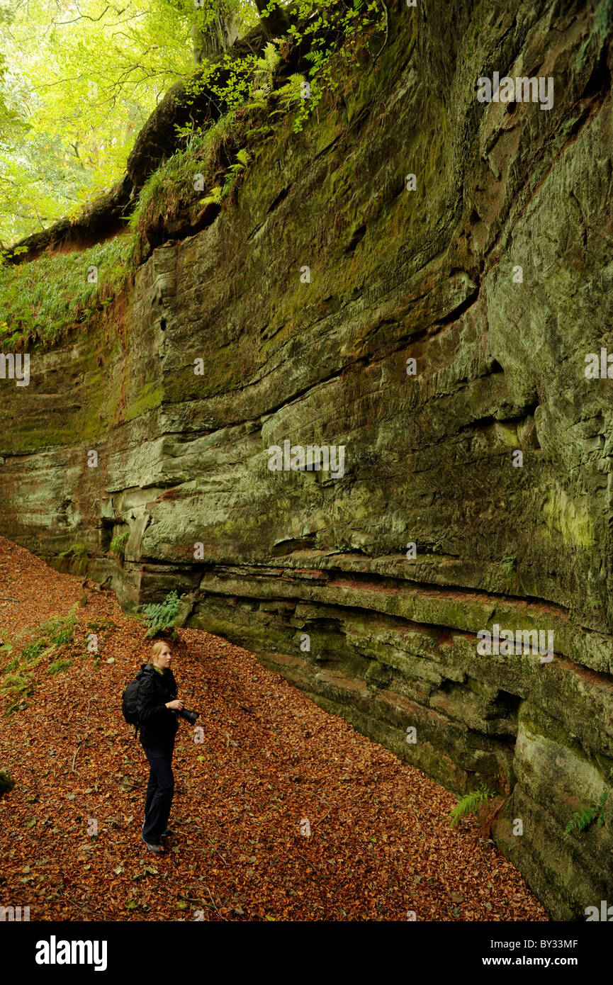 Gelt roman hi-res stock photography and images - Alamy