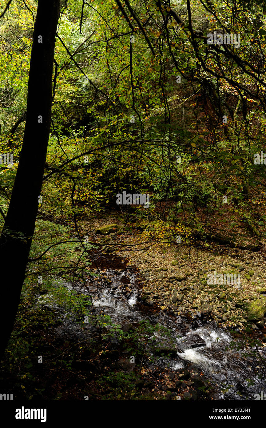 The River Gelt runs through Gelt Woods near Brampton, Cumbria Stock ...